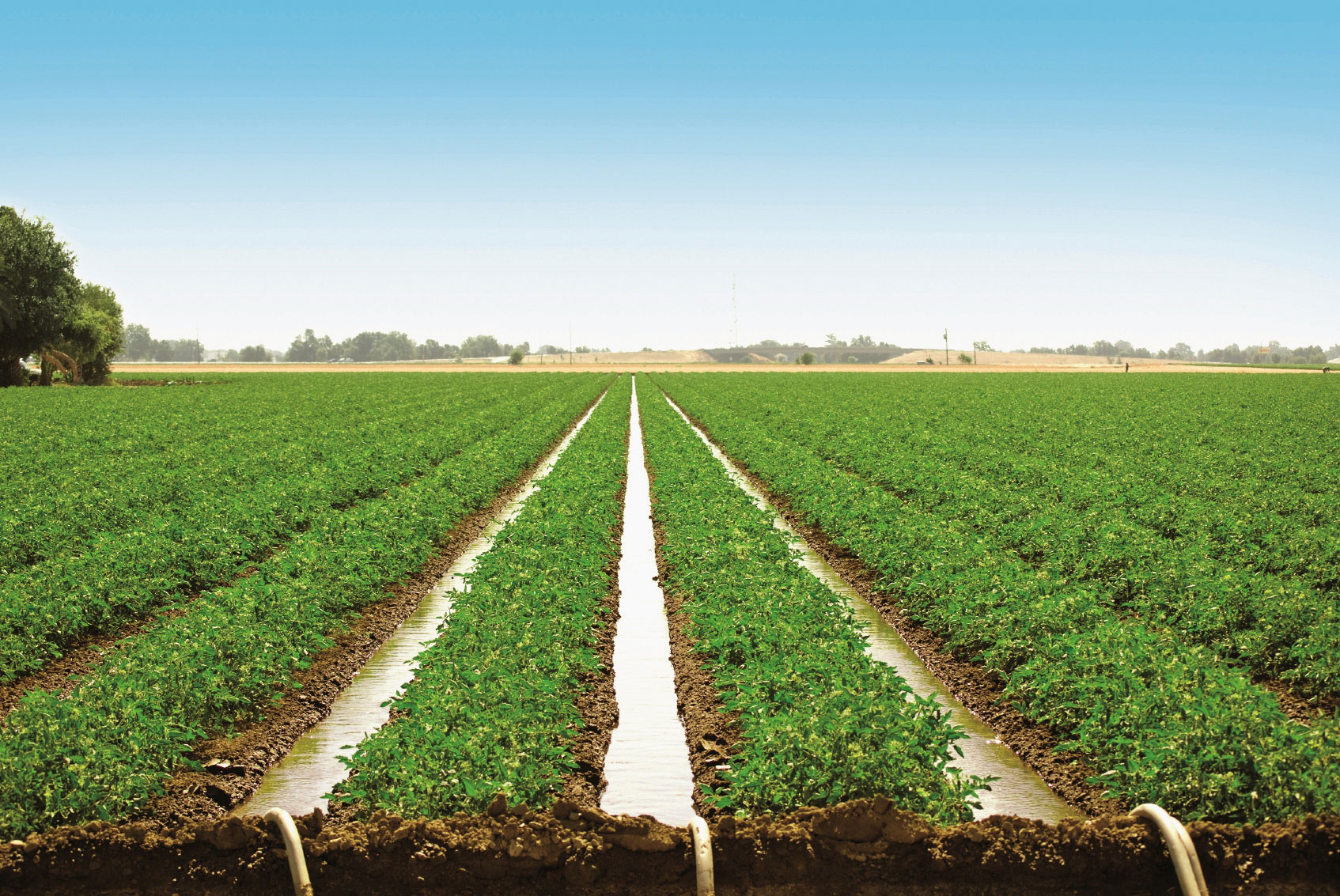 Rehabilitation and Improvement of the Zula Irrigation Project, Eritrea ...